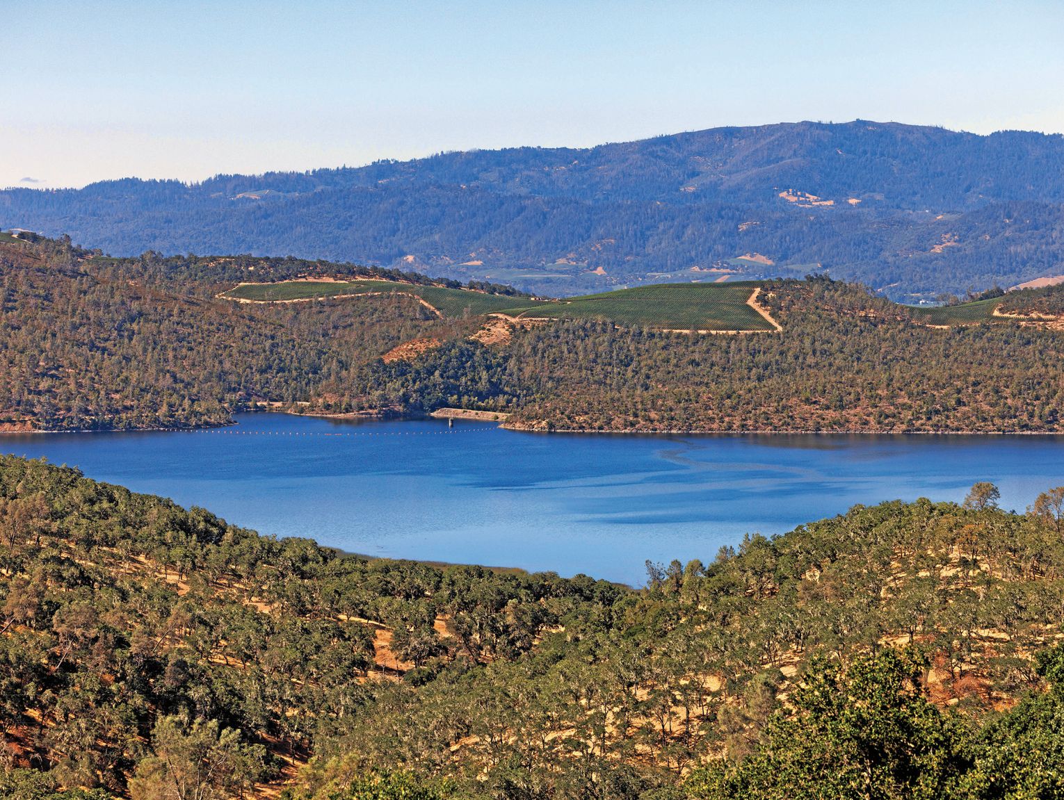 Spotlight on Moore Creek Park