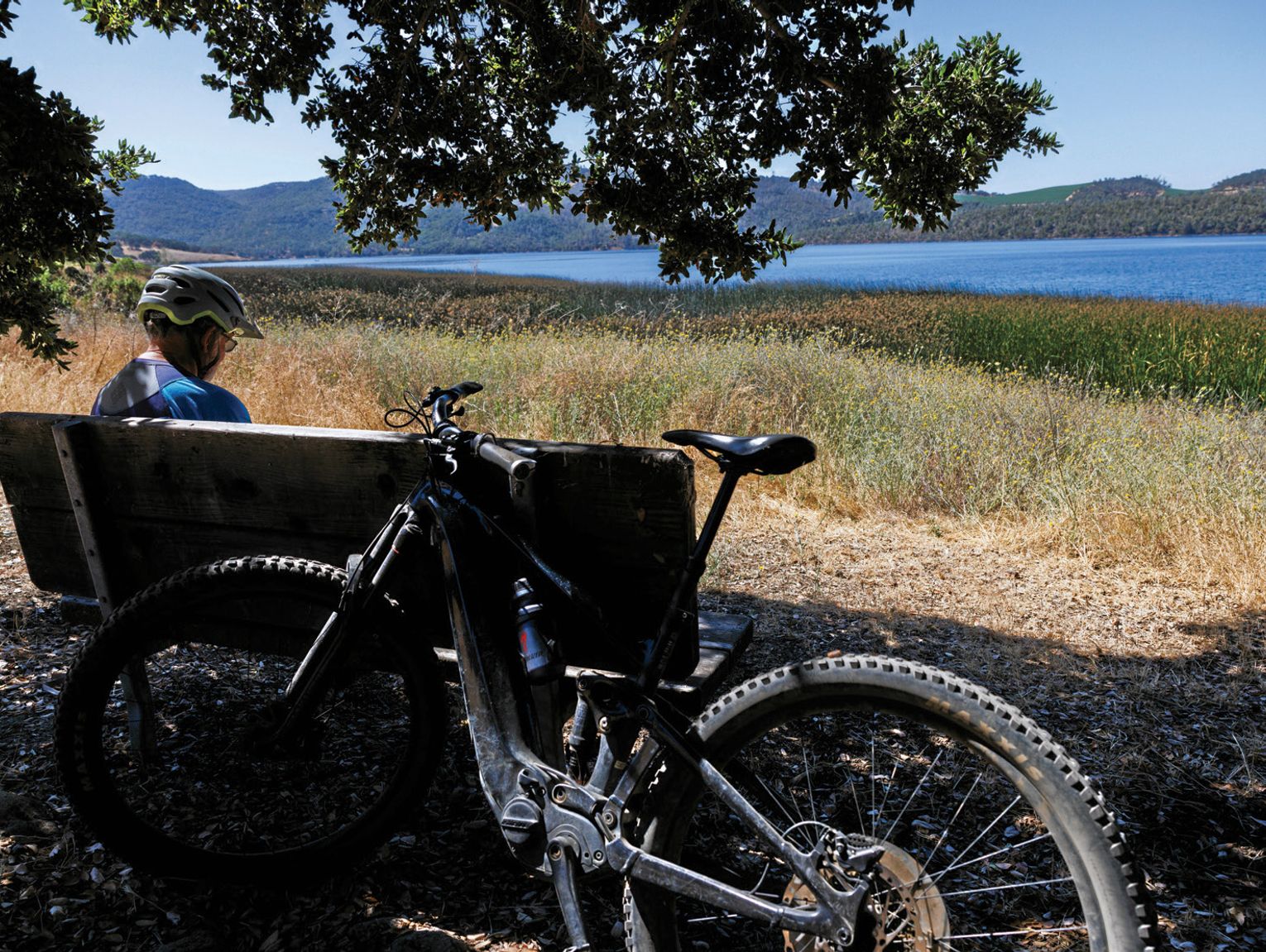 Spotlight on Moore Creek Park